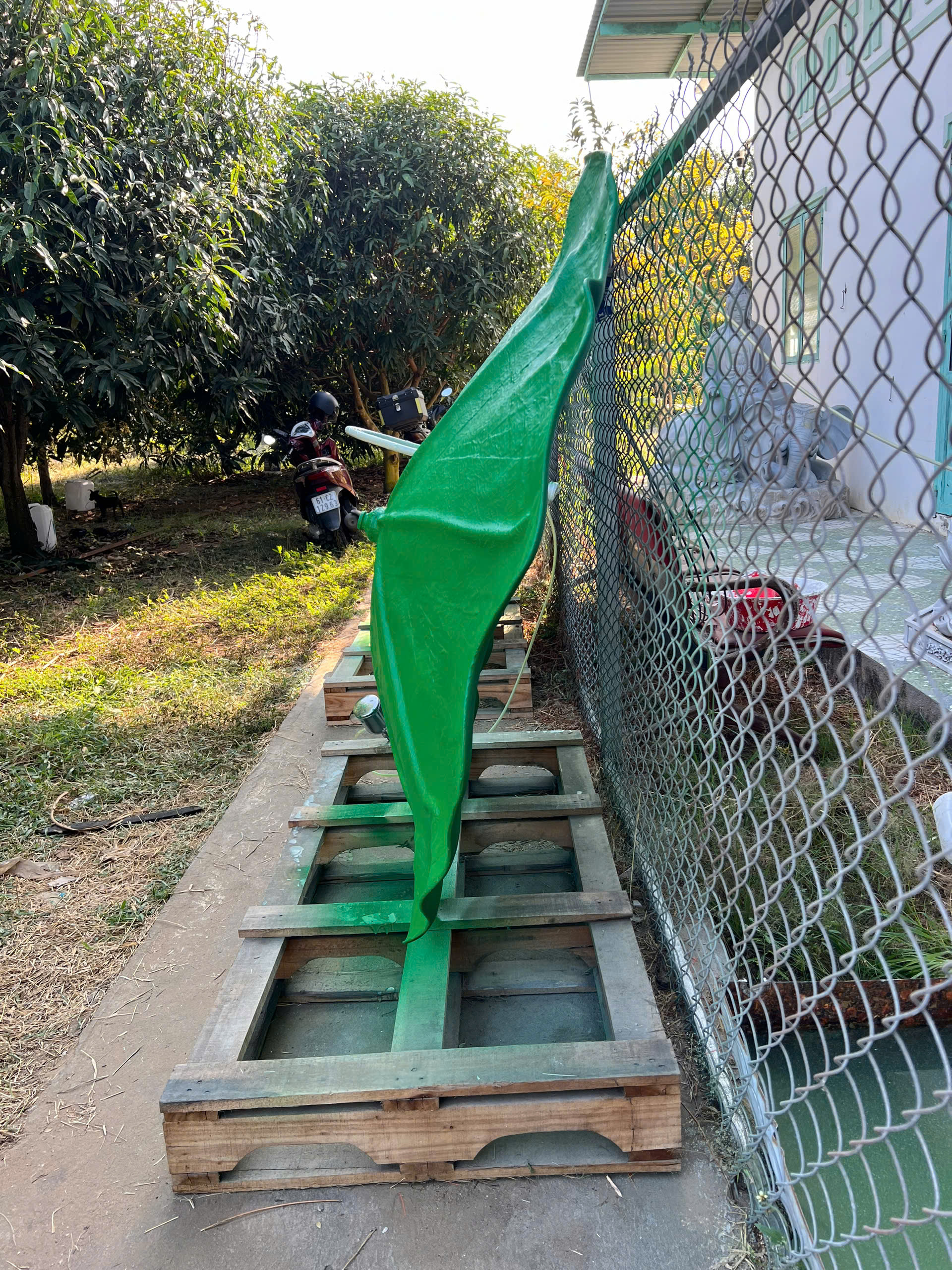 Lá sen che tượng Phật ngoài trời